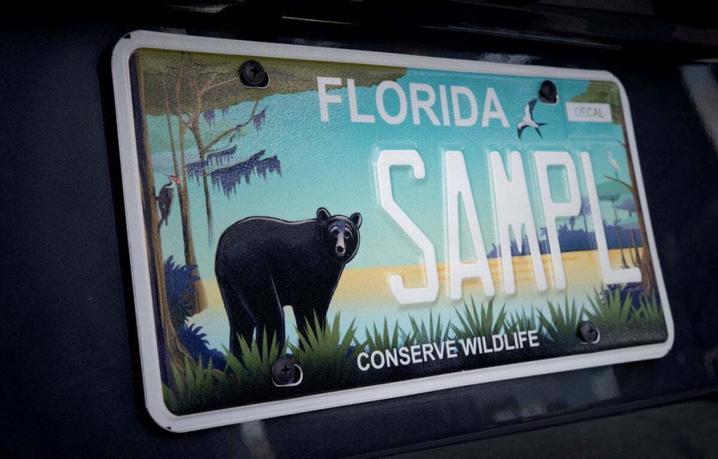 Fish & Wildlife